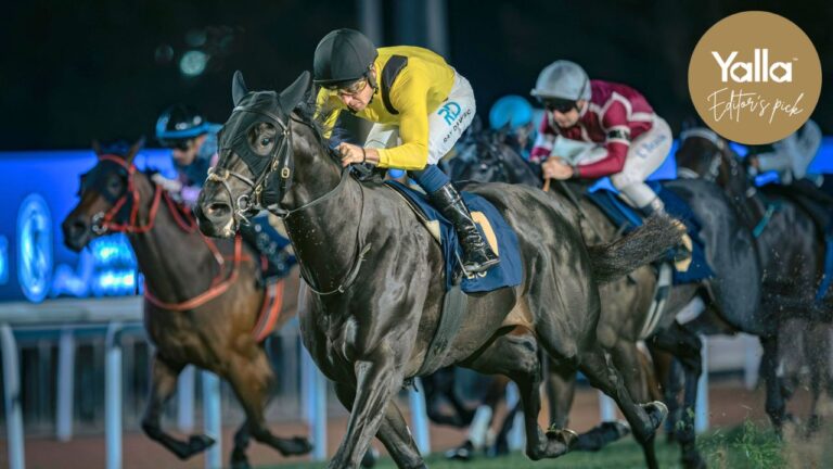 Open Masters Games Abu Dhabi 2026 Yalla Abu Dhabi Life